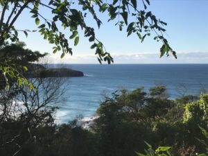 Killalea Beach - The Farm - Visit Shellharbour