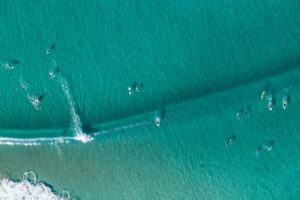 Killalea Beach - The Farm - Visit Shellharbour