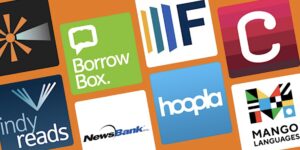 Digital Library - Information Session at Shellharbour City Library ...