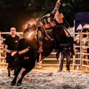 Bull Throttle, Shellharbour - Visit Shellharbour