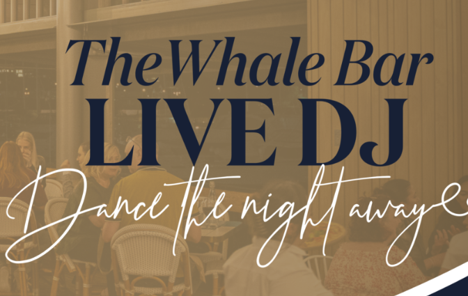 Live DJ Fridays and Saturdays in The Whale Bar at Waterfront Tavern ...