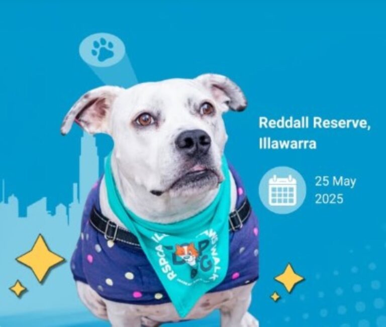 Million Paws Walk 2025 | Reddall Reserve Illawarra - Visit Shellharbour