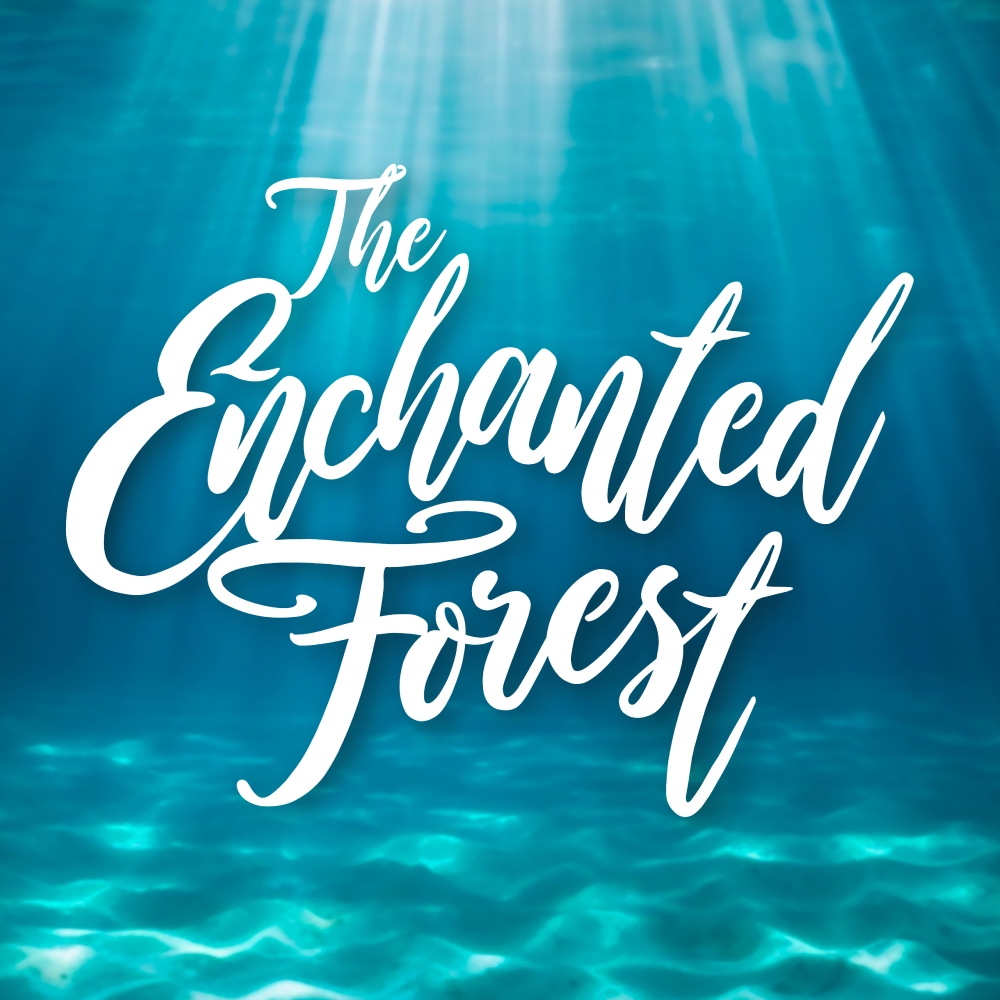 The Enchanted Forest Free Shuttle Bus from The Shellharbour Club ...
