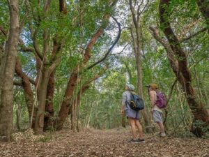 Killalea Regional Park - Visit Shellharbour